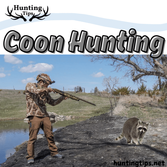 10 Coon Hunting Tips: Master Your Skills
