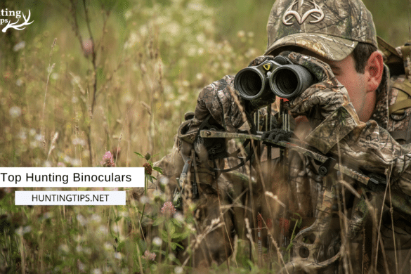 5 Best Arrows for Whitetail Hunting: A Complete Guide