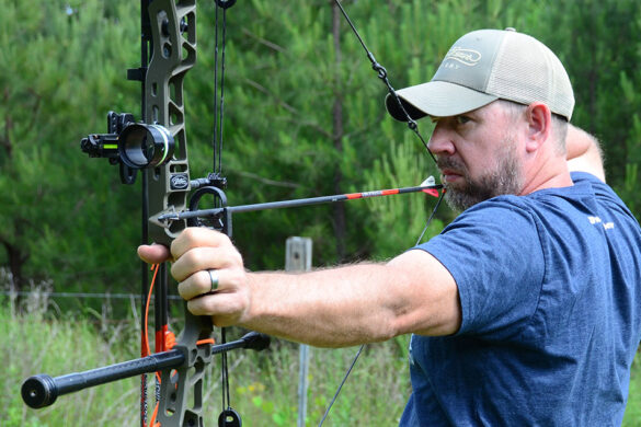 5 Best Arrows for Whitetail Hunting: A Complete Guide