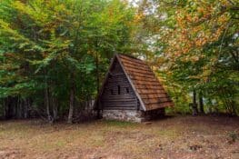 11 Hunting Cabin Plans
