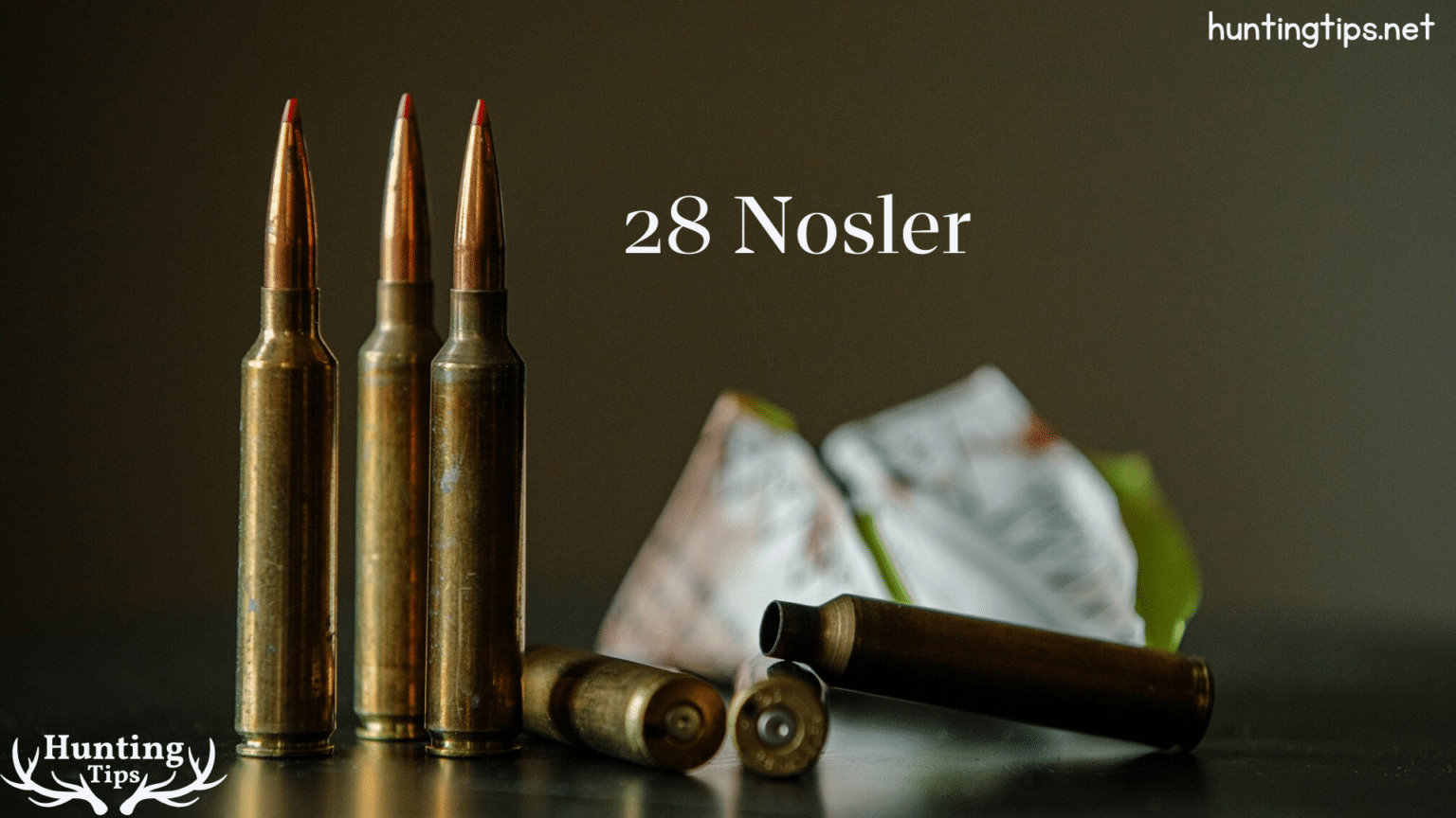 The Best Calibers for Elk Hunting in 2024