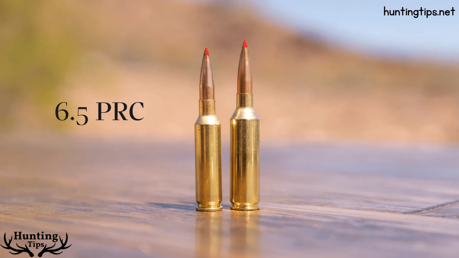 The Best Calibers for Elk Hunting in 2024