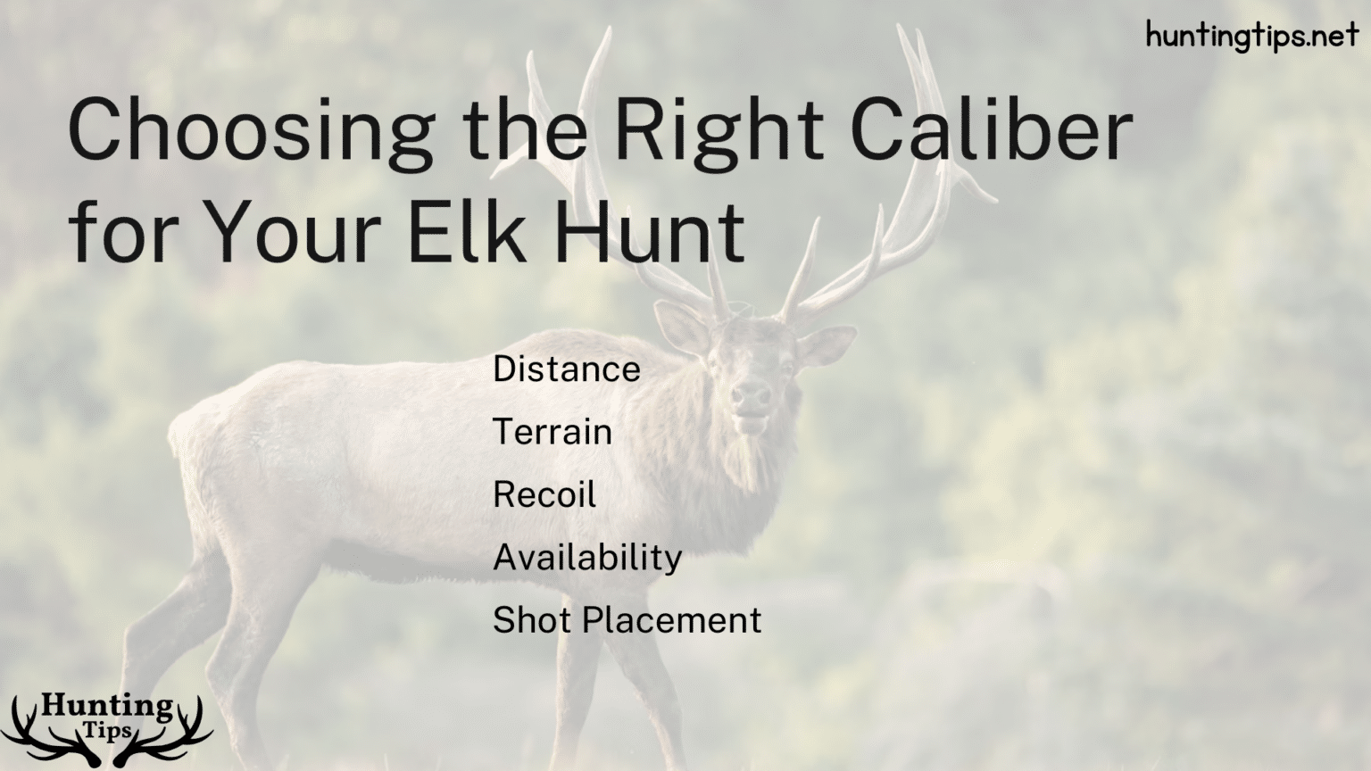 The Best Calibers for Elk Hunting in 2024