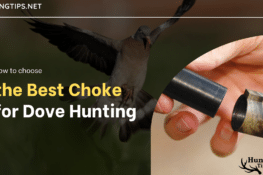 Sandhill Crane Hunting: Tricks Maximize Your Harvest